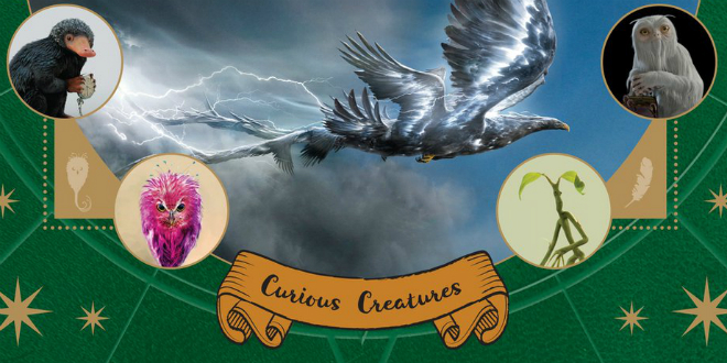 Spend Time with J.K. Rowling's "Curious Creatures" in New Deluxe Book!