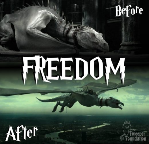 Introducing the Fantastic Beasts Foundation!