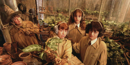 Why Hufflepuff Is the Best Hogwarts House