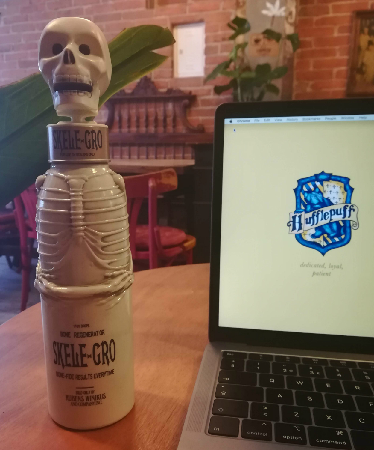 Review: Skele-Gro Water Bottle from Oliver's Brighton