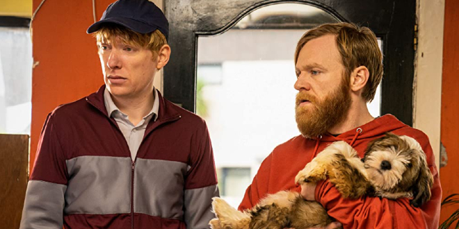 Domhnall Gleeson Stars Alongside His Brother in New Comedy Series ...