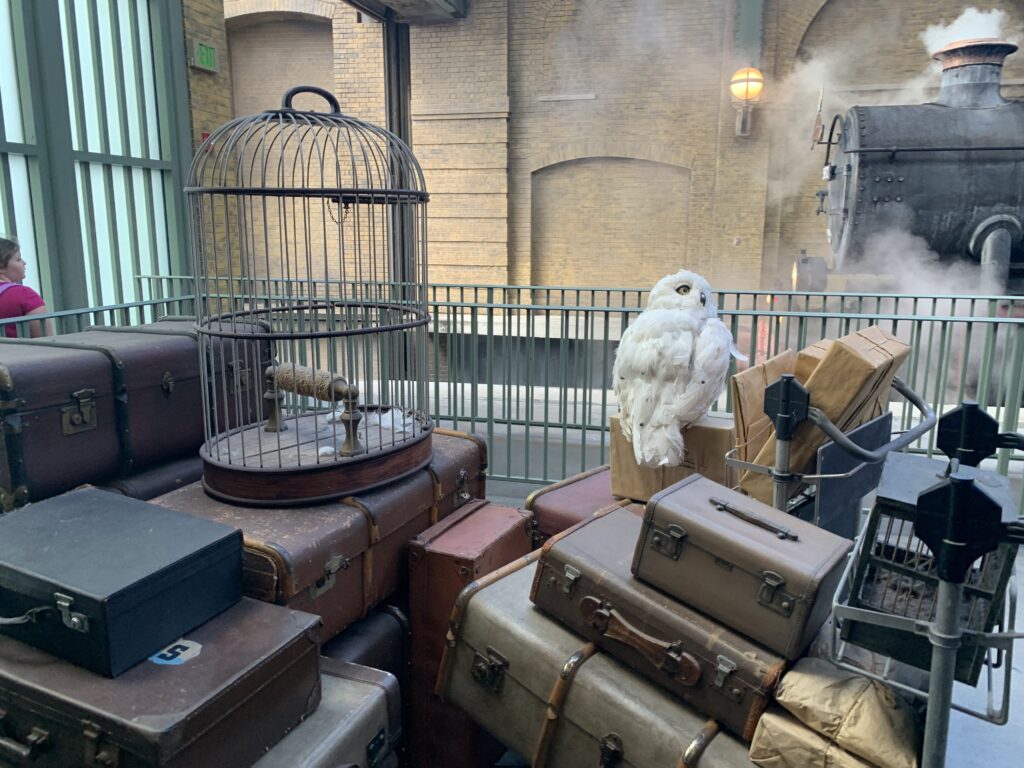 Welcome Home: Your First Visit to the Wizarding World