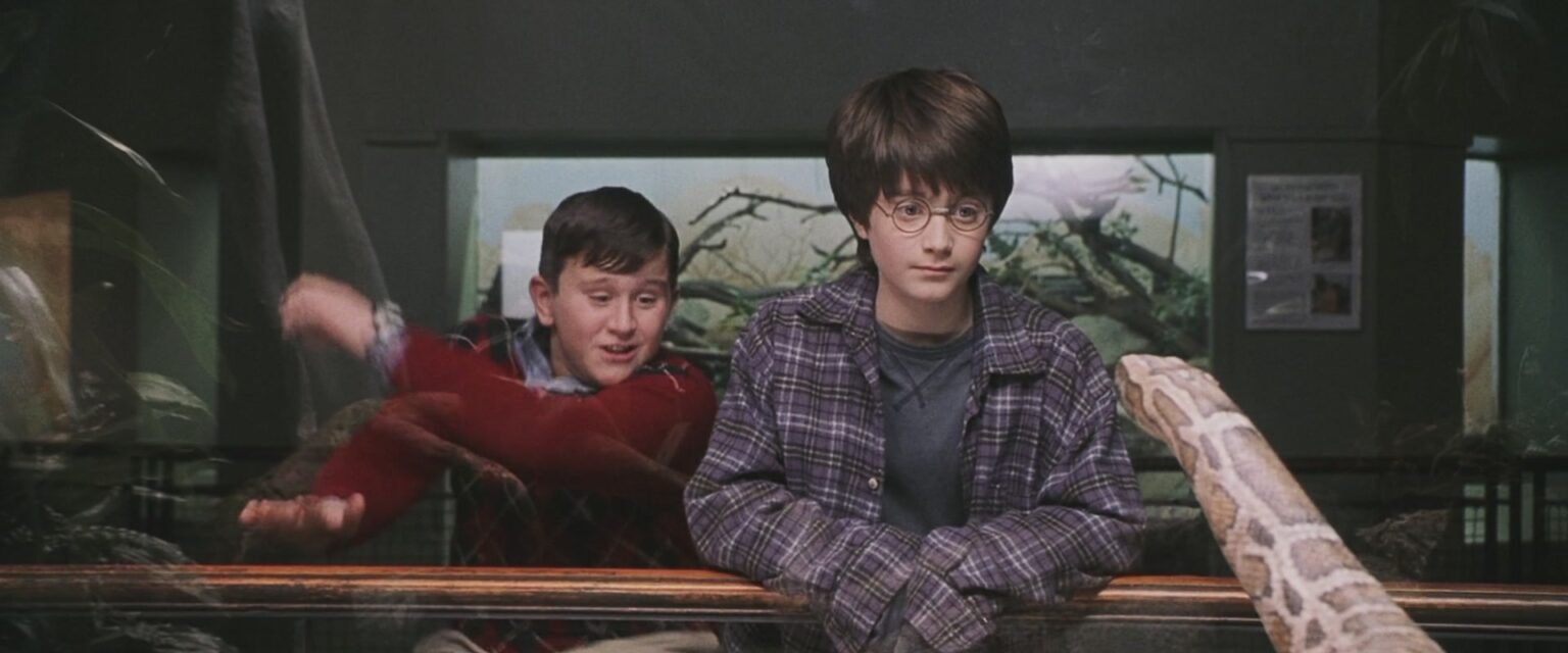 Eight Scenes from the "Sorcerer's Stone" Movie That Weren't in the Book