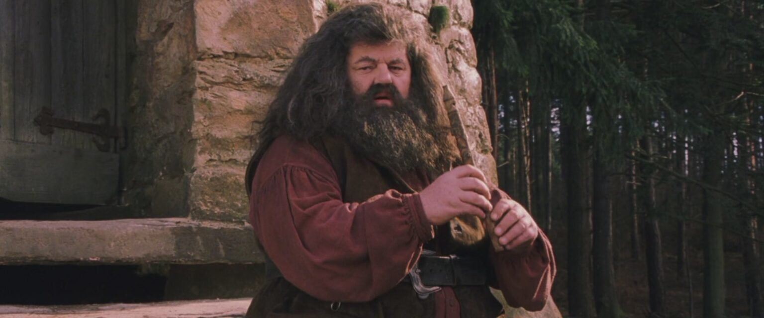 Eight Scenes from the "Sorcerer's Stone" Movie That Weren't in the Book